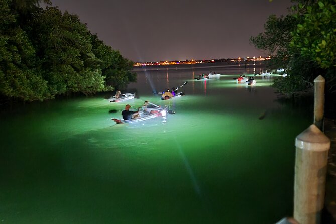 Anna Maria Island - Clear Kayak LED Night Glass Bottom Tour - Introduction: What Makes This Tour Stand Out?