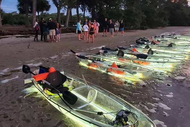 Anna Maria Island - Clear Kayak LED Night Glass Bottom Tour - How the Tour Works: A Typical Night on the Water