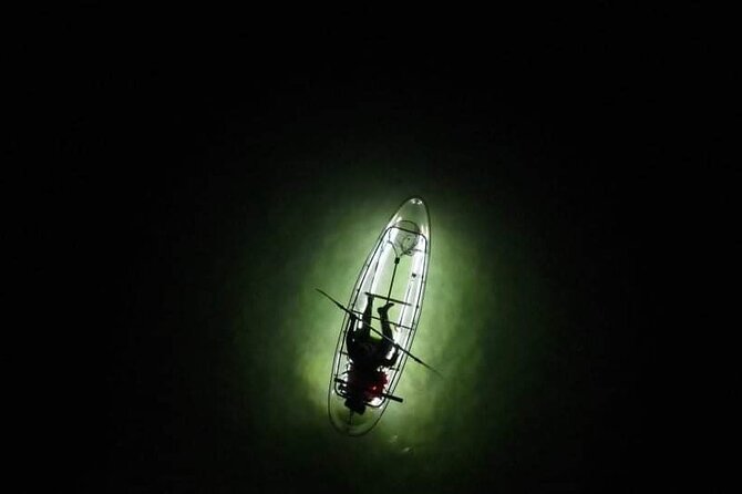Anna Maria Island - Clear Kayak LED Night Glass Bottom Tour - The Lighted Kayaks: Enhancing the Nighttime Experience