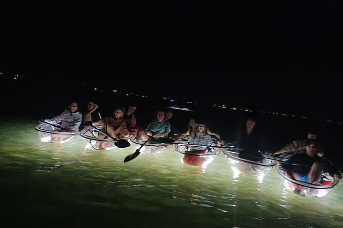Anna Maria Island - Clear Kayak LED Night Glass Bottom Tour - Wildlife Watching: What You Might See