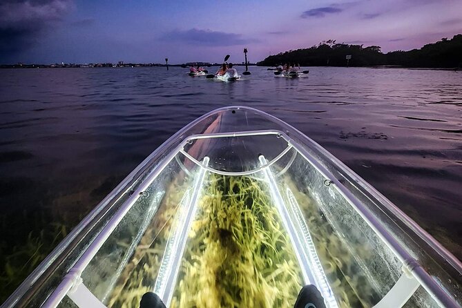 Anna Maria Island - Clear Kayak LED Night Glass Bottom Tour - Practical Details: What You Need to Know