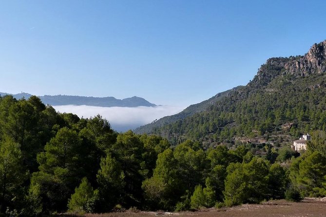 Annual Pass National Parks with Audioguide - Discover the Ultimate West Coast National Park Adventure with an Annual Pass and Audioguide