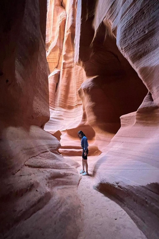 Antelope Canyon and Horseshoe Bend Vip small group tour - Transportation and Logistics