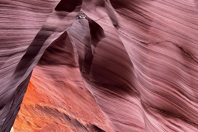 Antelope Canyon Lake Powell Guided Kayaking and Hike Tour - Key Points