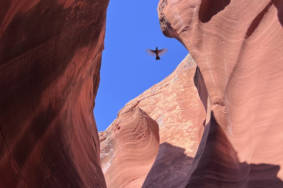 Antelope Canyon: Rattlesnake Canyon Tour - Why This Tour Offers Value