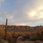 Apache Trail and Dolly Steamboat Van Tour - Detailed Breakdown of the Itinerary