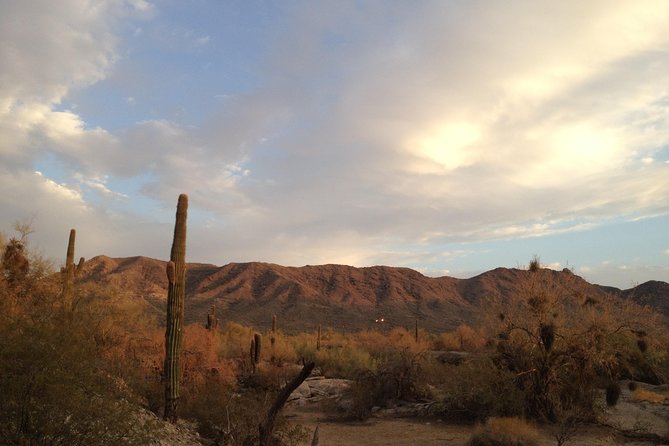 Apache Trail and Dolly Steamboat Van Tour - Detailed Breakdown of the Itinerary