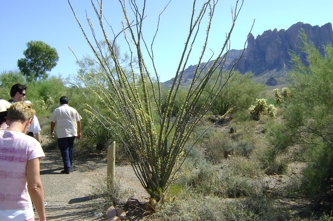 Apache Trail and Dolly Steamboat Van Tour - The Guides and Customer Service