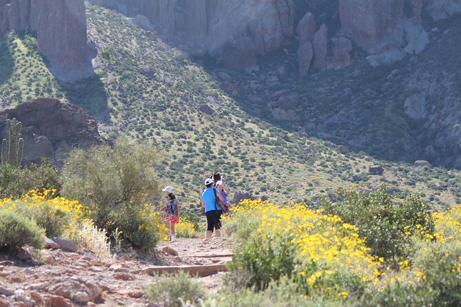 Apache Trail Private Half-Day Tour - Who Is This Tour Best For?