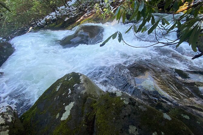 Appalachian Waterfalls Hike - Who Should Book This Tour?