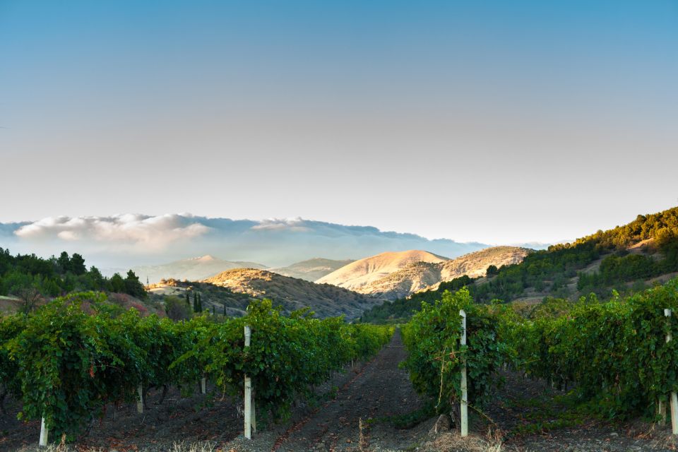 Apple Hill/Carson Road Digital Wine Tasting Passport - Key Points