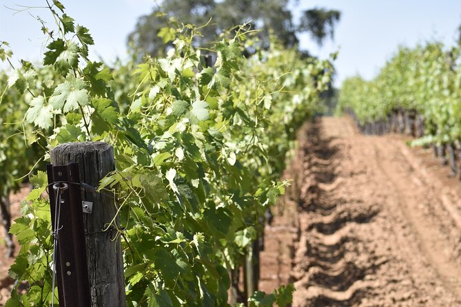 Apple Hill Wine Tasting Tours And Placerville wine tasting tours - What’s Included and What’s Not