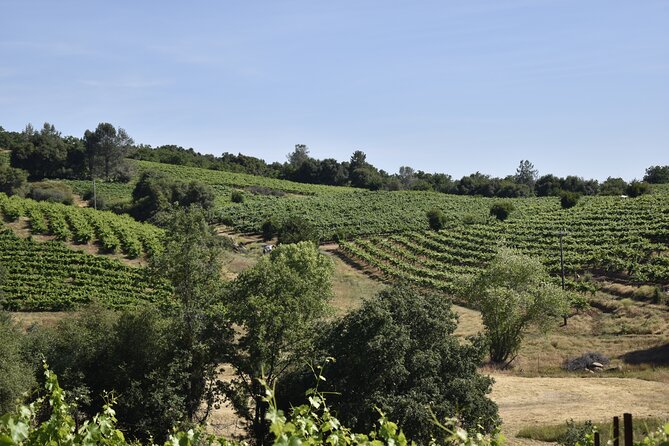 Apple Hill Wine Tasting Tours And Placerville wine tasting tours - How the Tour Works: Flexibility at Its Core