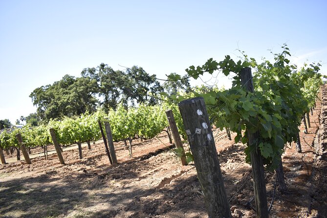 Apple Hill Wine Tasting Tours And Placerville wine tasting tours - The Transportation: Comfort and Convenience