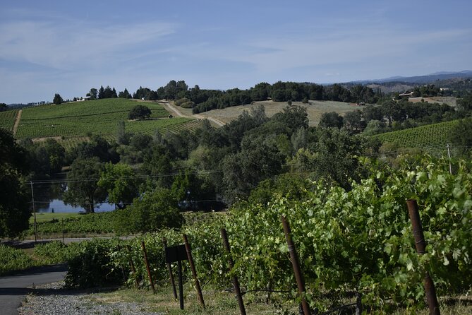 Apple Hill Wine Tasting Tours And Placerville wine tasting tours - The Value: Is It Worth It?