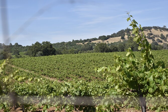 Apple Hill Wine Tasting Tours And Placerville wine tasting tours - Who Should Book This Tour?