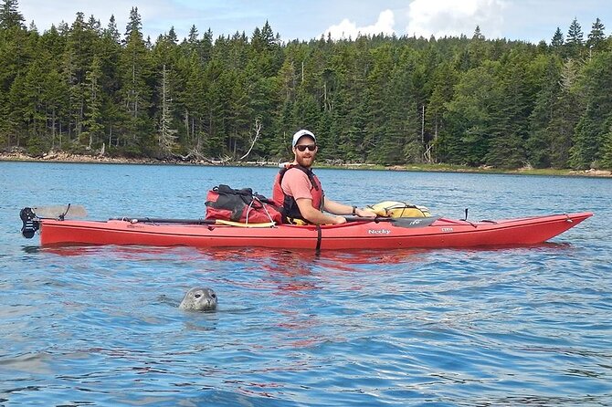 Aqua Safari Kayak tour departing Southwest Harbor - Who Will Love This Tour?