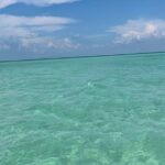 Aqua Sol Adventures-4.5 hour Private Snorkeling,Dolphin,shelling - Price and Value