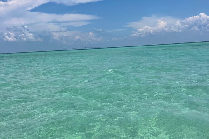 Aqua Sol Adventures-4.5 hour Private Snorkeling,Dolphin,shelling - Price and Value