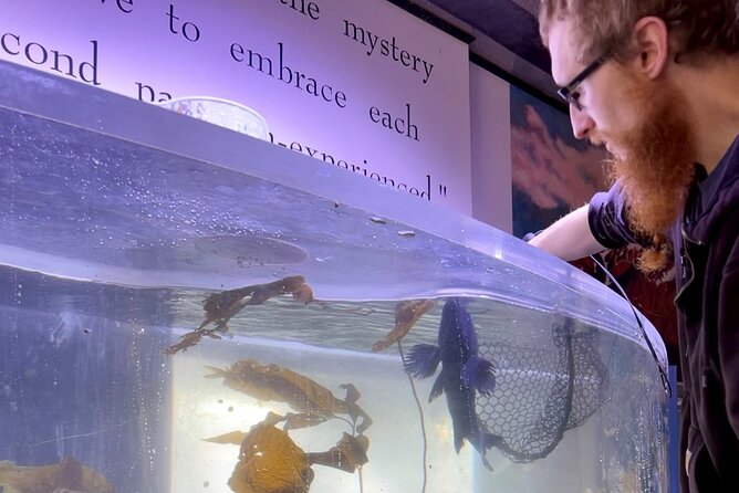 Aquarium Behind the Scenes at Sitka - Key Points