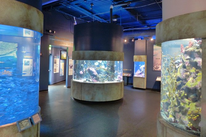 Aquarium of the Bay General Admission Ticket - What’s Included in the Ticket
