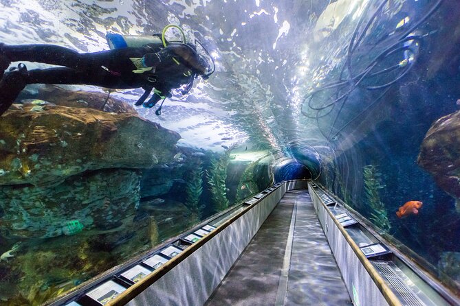 Aquarium of the Bay VIP Experience - The Experience Breakdown