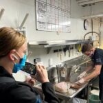 Aquarium of the Bay VIP Experience - Value for Money