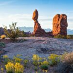 Arches National Park Morning Tour - Why Is This Tour a Great Choice?
