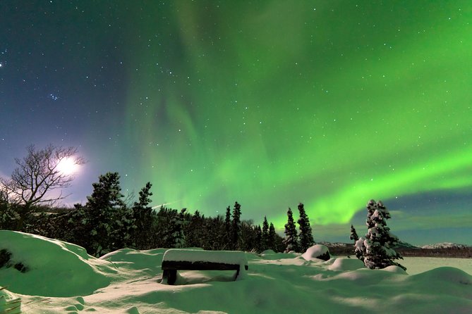 Arctic Circle and Northern Lights Tour from Fairbanks - What to Expect and Practical Tips