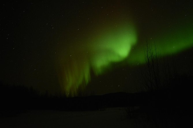 Arctic Circle and Northern Lights Tour from Fairbanks - The Value of the Tour