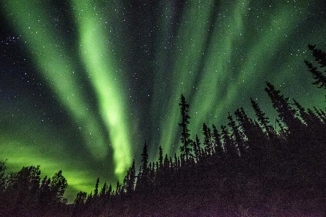 Arctic Circle and Northern Lights Tour from Fairbanks - Who Would Love This Tour?