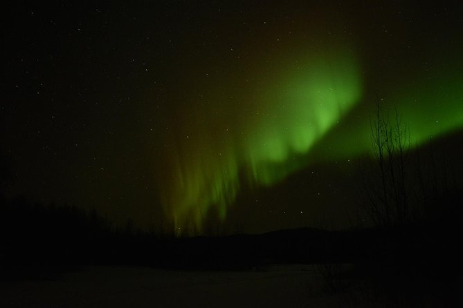 Arctic Circle and Northern Lights Tour from Fairbanks - Final Thoughts