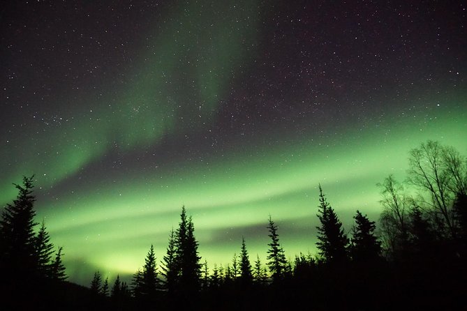 Arctic Circle and Northern Lights Tour from Fairbanks - FAQ