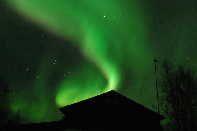 Arctic Circle Aurora Drive Adventure - Real Experiences from Travelers  