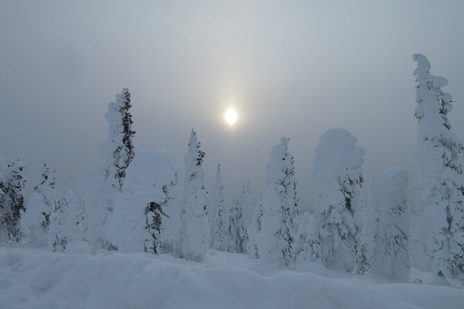 Arctic Circle Aurora Drive Adventure - The Bottom Line  