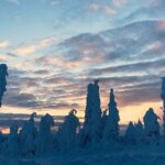 Arctic Circle Day Tour Adventure - The Value of This Tour