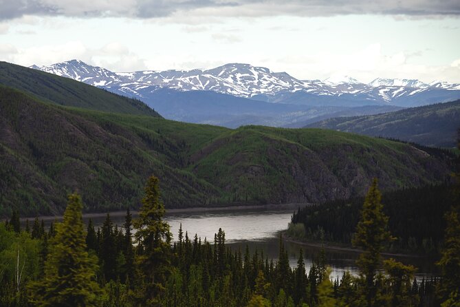 Arctic Circle Day Trip from Fairbanks with Transportation - The Journey Begins: Convenient Pickups and Comfort