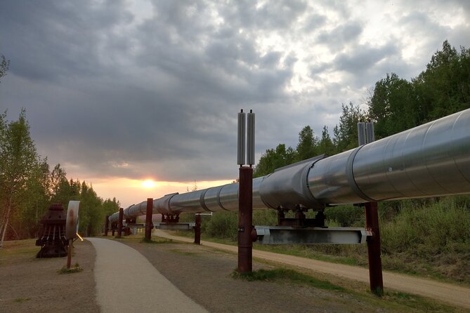 Arctic Circle Full-Day Adventure from Fairbanks - An Overview of the Arctic Circle Full-Day Tour