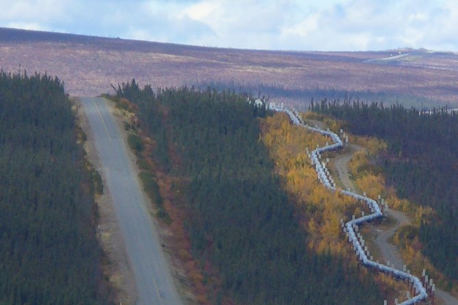 Arctic Circle Full-Day Adventure from Fairbanks - The Experience of the Arctic Circle