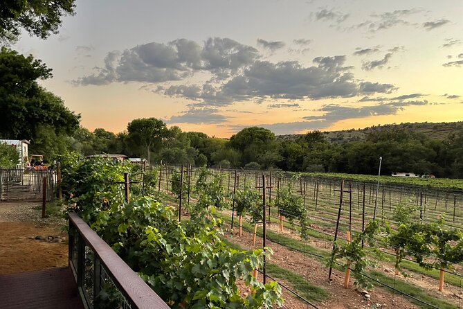 Arizona Winery All-Inclusive Tour with Lunch & Tastings - Key Points