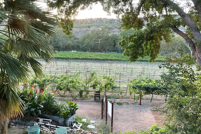 Arizona Winery All-Inclusive Tour with Lunch & Tastings - Who Is This Tour Best For?