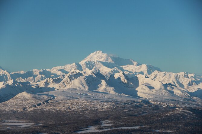 Around The Mountain Flightseeing Tour from Talkeetna - Experience Overview: What You Can Expect