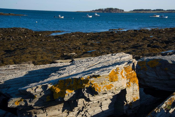 Around The Peninsula Bike Tour - An In-Depth Look at the Itinerary