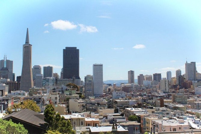 Arrival Private Transfer: Airport SFO to San Francisco in Luxury Car - Who Should Consider This Service?