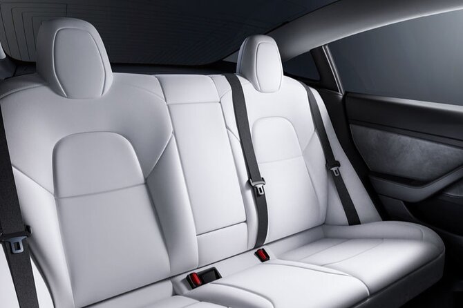 Arrival Private Transfer from Las Vegas Airport to Las Vegas by electric vehicle - Who Will Love This Service?