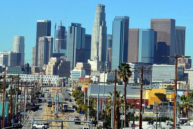 Arrival Private Transfer: LAX Airport to Anaheim Resort Area - Final Thoughts