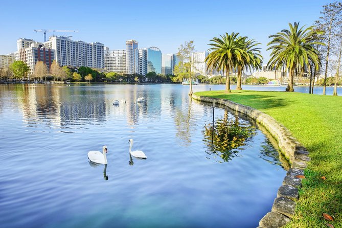 Arrival Private Transfer: Orlando Airport MCO to Orlando in Luxury SUV - What to Expect During Your Transfer