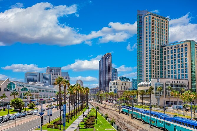 Arrival Private Transfer: San Diego Airport SAN to San Diego in Business Car - The Ride: Comfort and Convenience