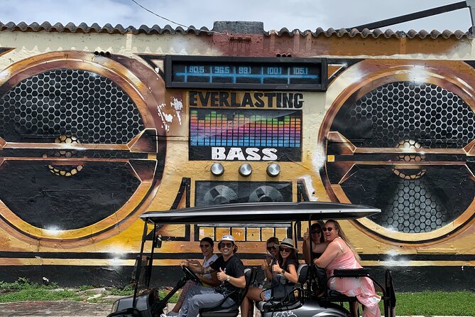 Artist Lead VIP Golf Cart Graffiti Tour - 2-5 ppl - Why You’ll Love This Tour