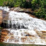 Asheville: Blue Ridge Mountains Tour for Children! - Safety, Comfort, and Practical Tips
